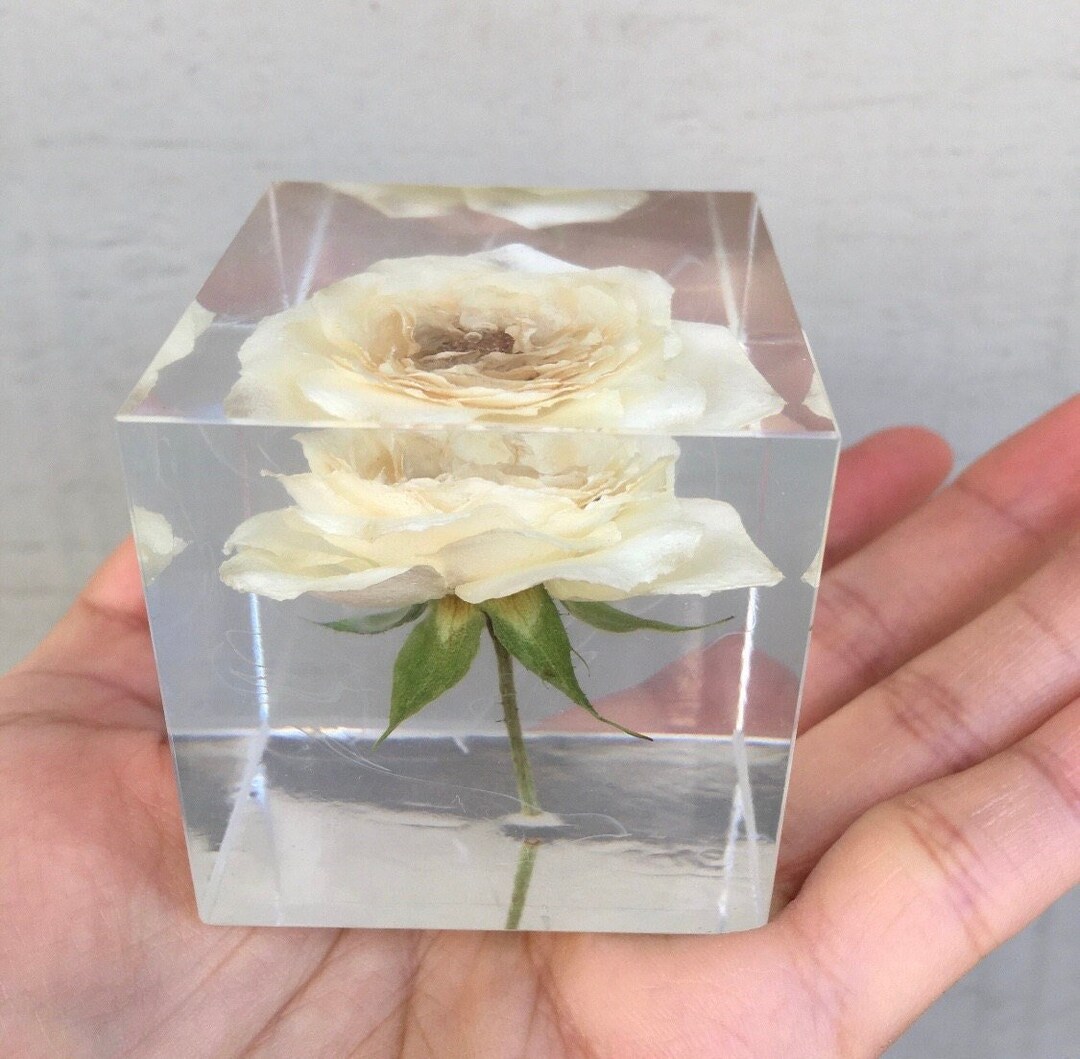 Real White Rose Cube, Forever Rose Crystals Keepsake, Resin Paperweight ...