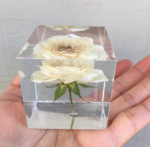 Real White Rose Cube Forever Rose Crystals Keepsake Resin - Etsy