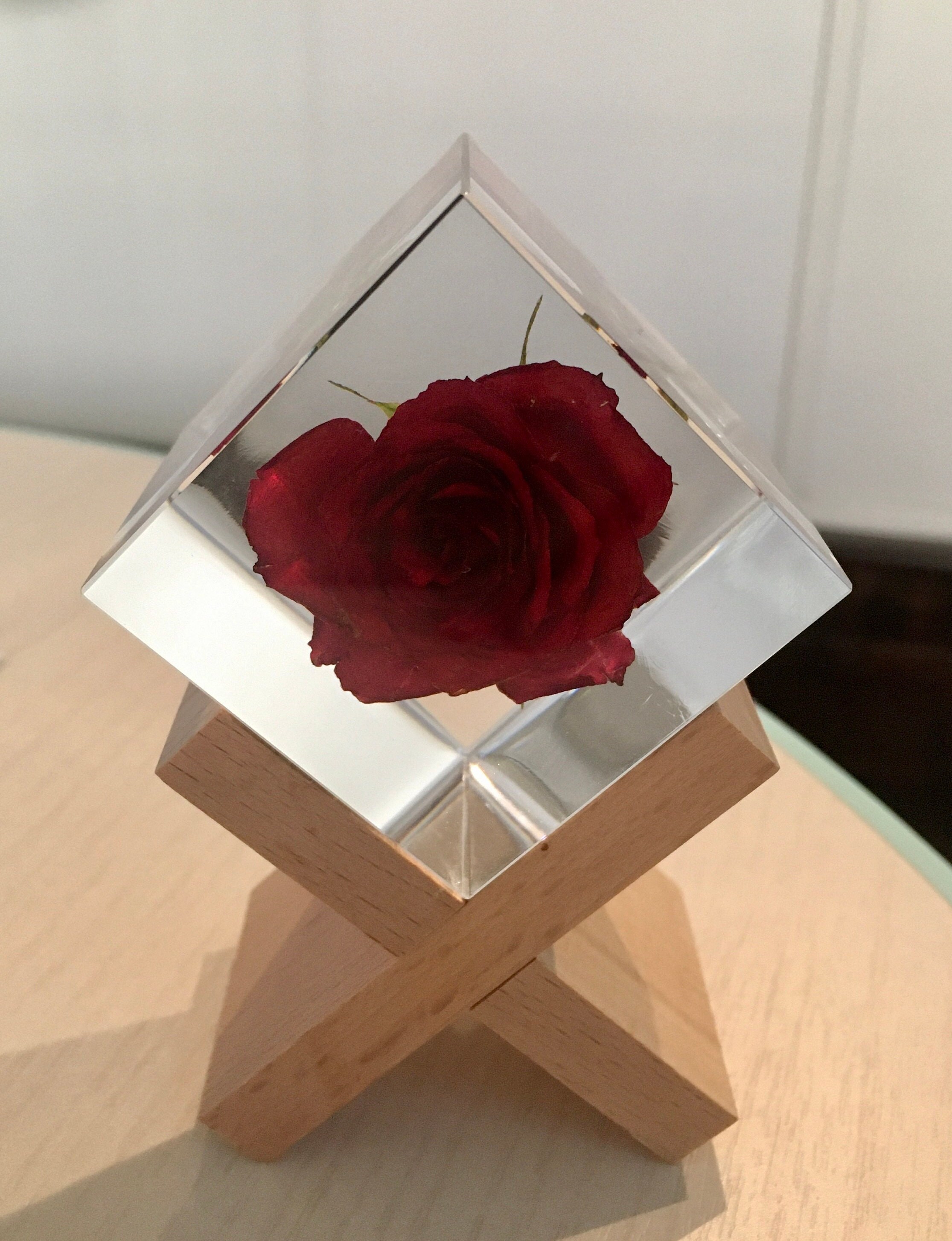 Real Red Rose Cube Forever Rose Crystals Keepsake Resin | Etsy