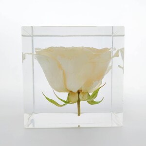 Real White Rose Cube, Forever Rose Crystals Keepsake, Resin Paperweight ...