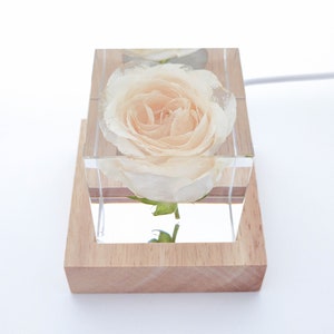 Real White Rose Cube, Forever Rose Crystals Keepsake, Resin Paperweight ...