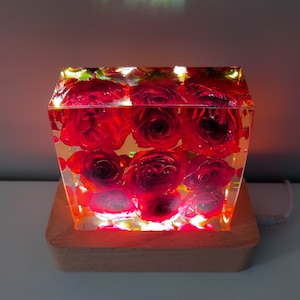 Real 9 Red Roses Night Light, Real Rose Lamp, Real Rose Resin Block ...