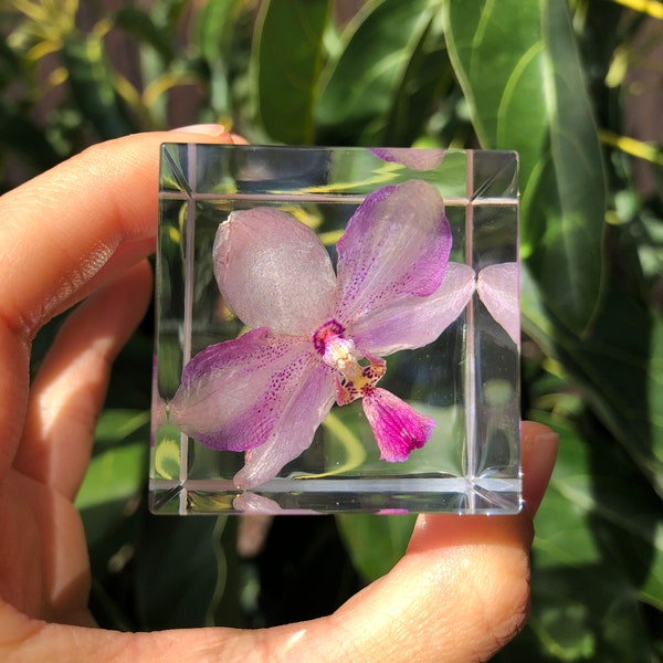 Flower Paperweight - Etsy