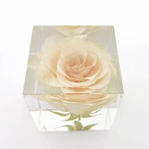 Real White Rose Cube, Forever Rose Crystals Keepsake, Resin Paperweight ...