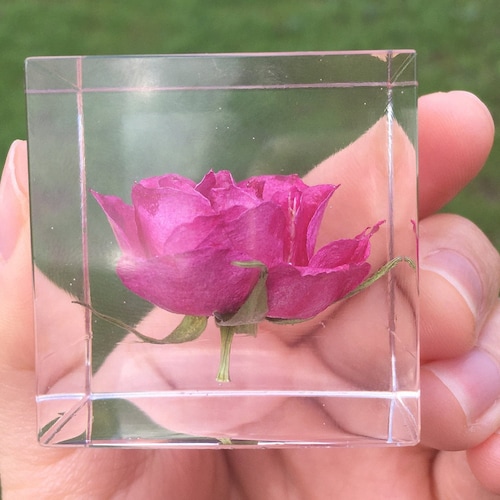 Real Red Rose Cube Forever Rose Crystals Keepsake Resin - Etsy
