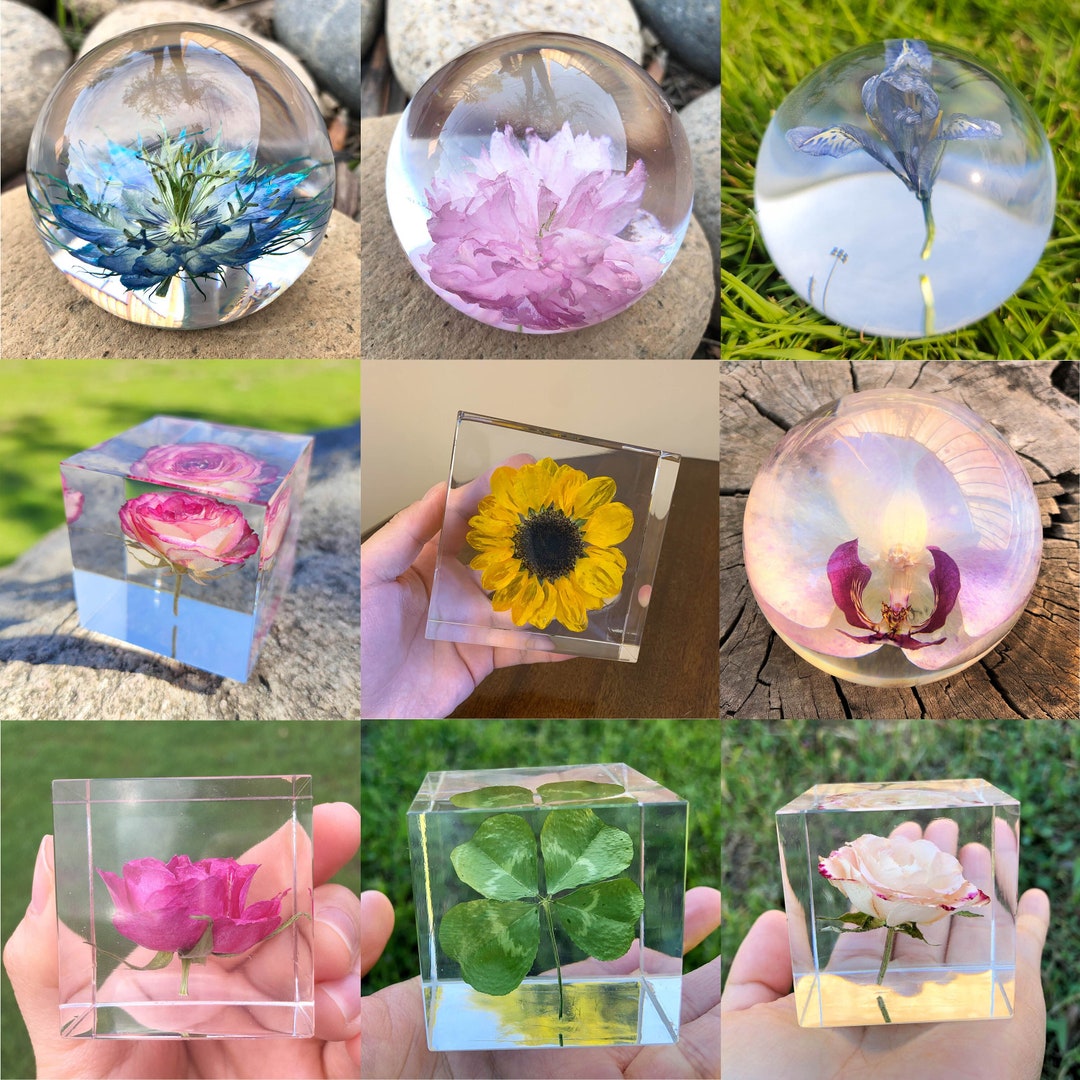Imperfect Real Flower Resin, Resin Paperweight, Resin Cube, Four Leaf ...