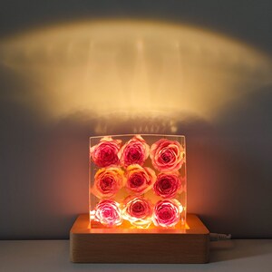 Real 9 Pink Roses Night Light, Real Rose Lamp, Real Rose Resin Block ...