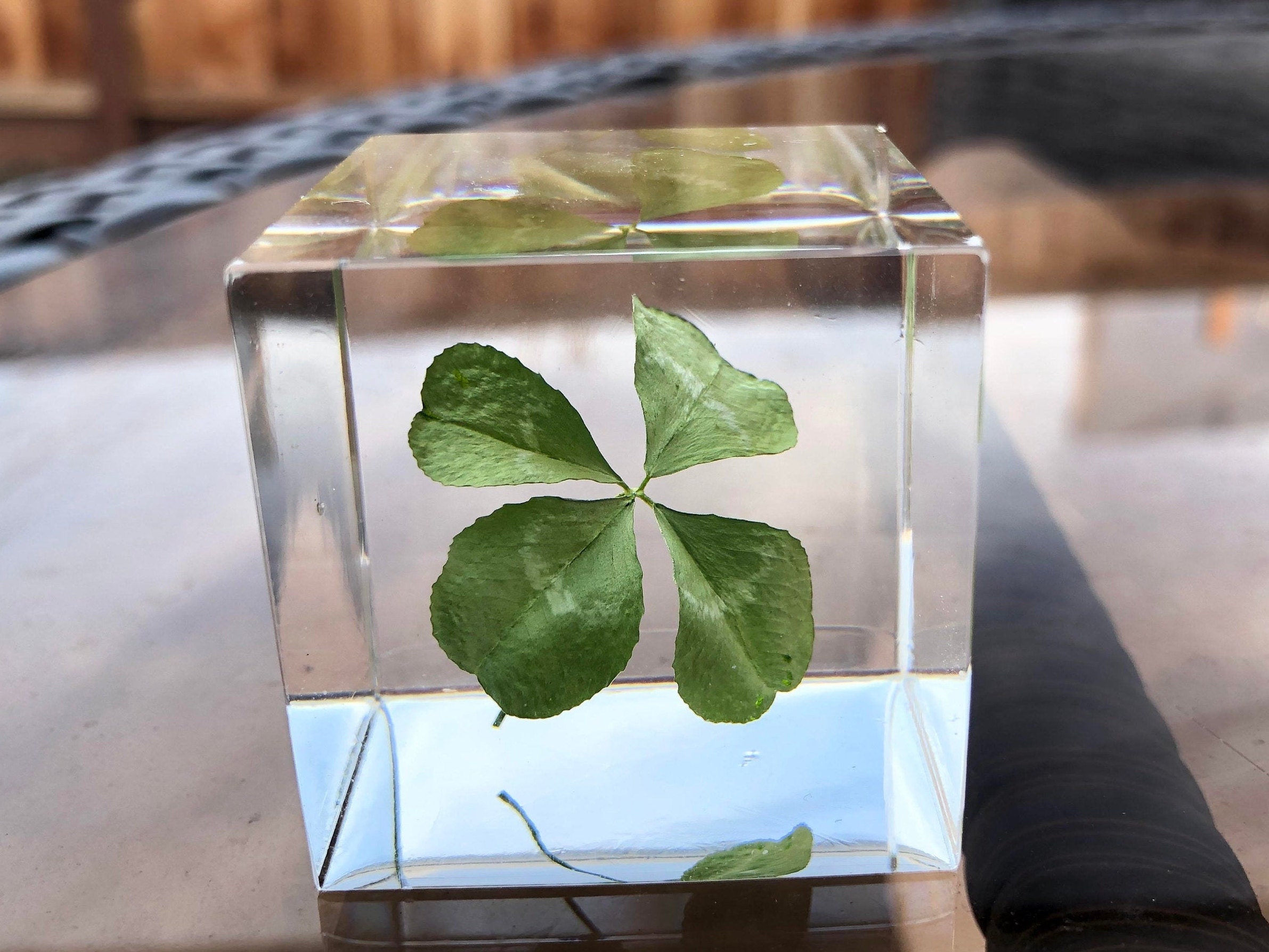 Real Four Leaf Clover Cube Lucky Clover Objet Gift for Luck | Etsy