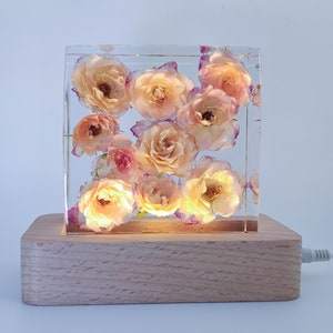 Real Pink-white Rose Night Light, Rose Lamp, Real Rose Resin Block ...