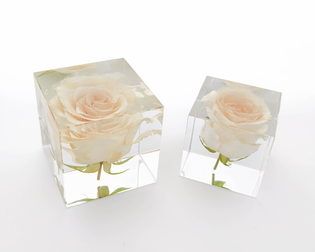 Real White Rose Cube, Forever Rose Crystals Keepsake, Resin Paperweight ...