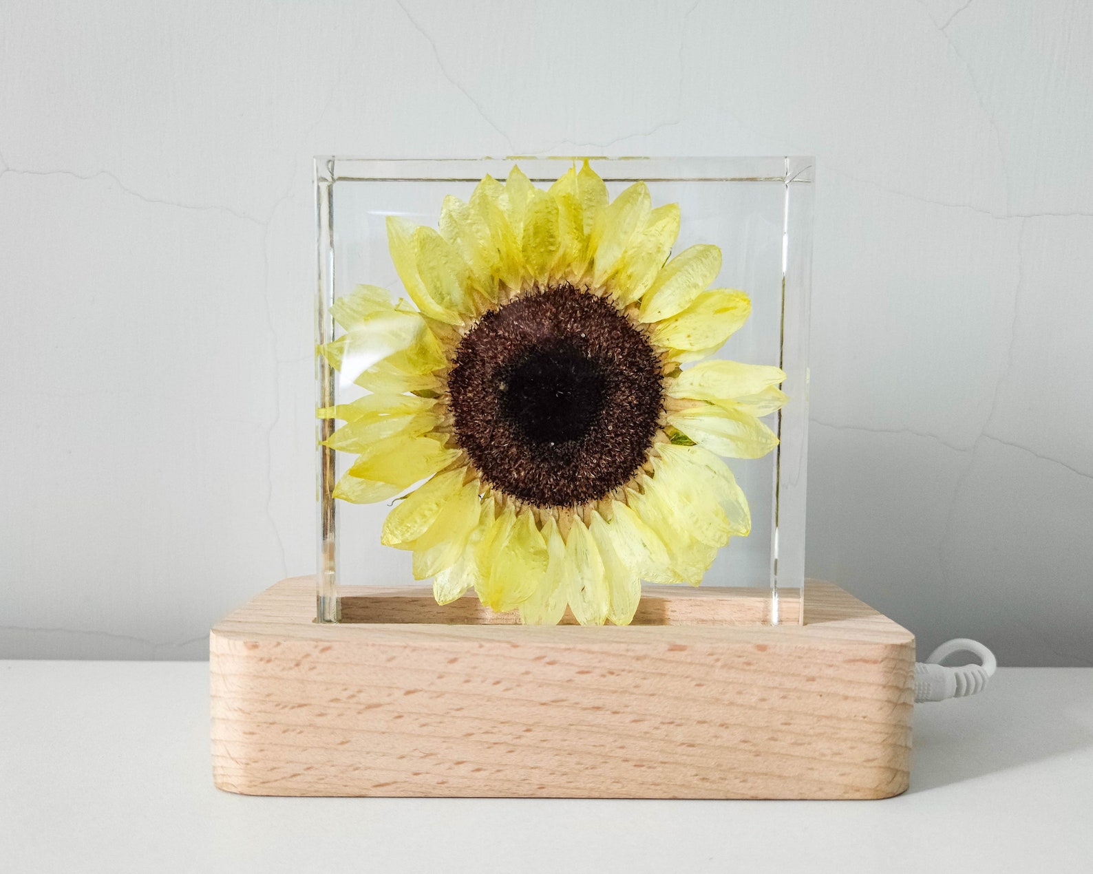 Real Lemon Sunflower Resin Block Sunflower Night Light - Etsy