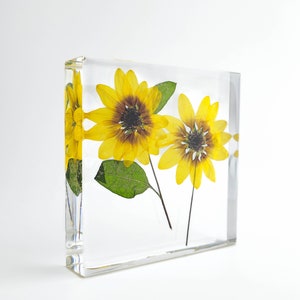 Real Sunflower Block, Resin Paperweight, Sunflower Night Light ...