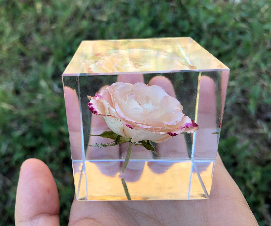 Real Rose Cube, Forever Rose Crystals Keepsake, Resin Paperweight, Gift ...