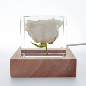Real White Rose Cube, Forever Rose Crystals Keepsake, Resin Paperweight ...