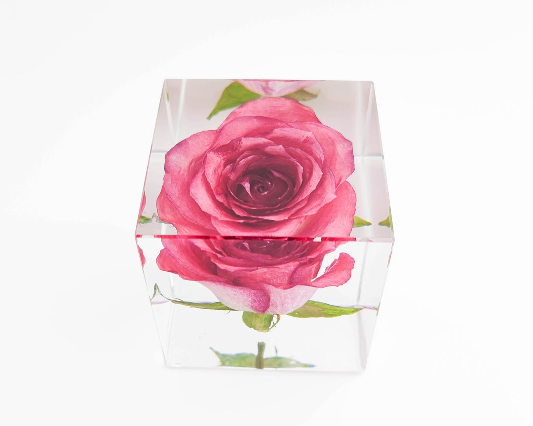 Real Rose Cube, Forever Rose Crystals Keepsake, Resin Paperweight, Gift ...