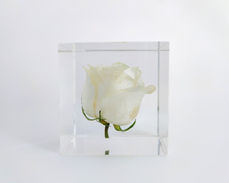 Real White Rose Cube Forever Rose Crystals Keepsake Resin - Etsy