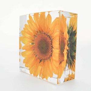 Real Sunflower Resin Block, Sunflower Night Light, Sunflower Ornament ...