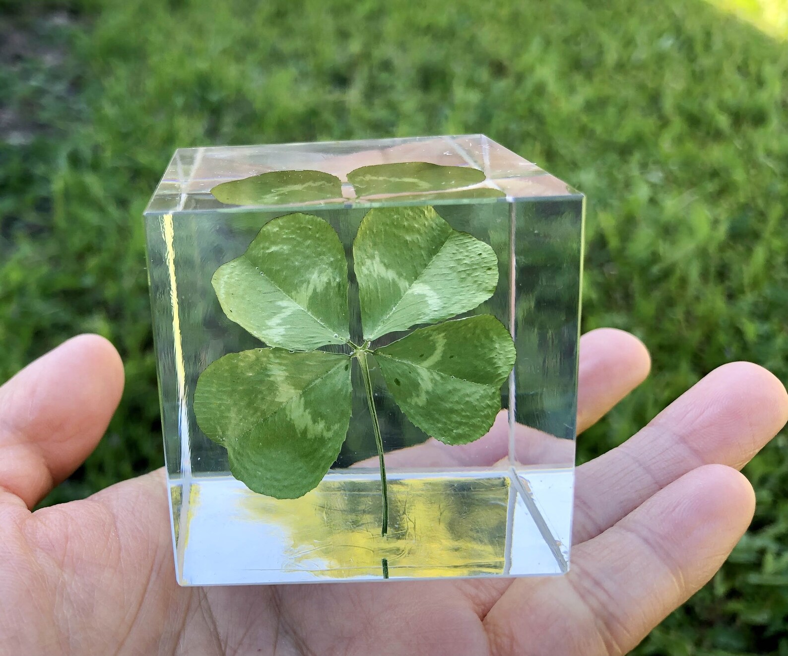 Imperfect Real Flower Resin Resin Paperweight Resin Cube - Etsy
