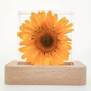 Real Sunflower Resin Block, Sunflower Night Light, Sunflower Ornament ...