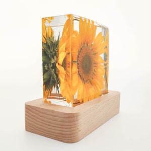 Real Sunflower Resin Block, Sunflower Night Light, Sunflower Ornament ...