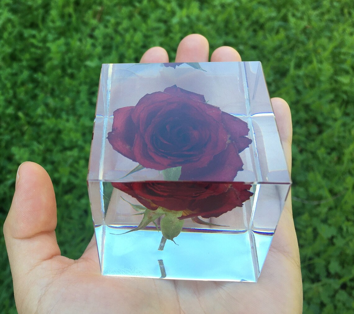 Real Red Rose Cube Forever Rose Crystals Keepsake Resin - Etsy