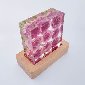 Real 9 Pink Roses Night Light, Real Rose Lamp, Real Rose Resin Block ...
