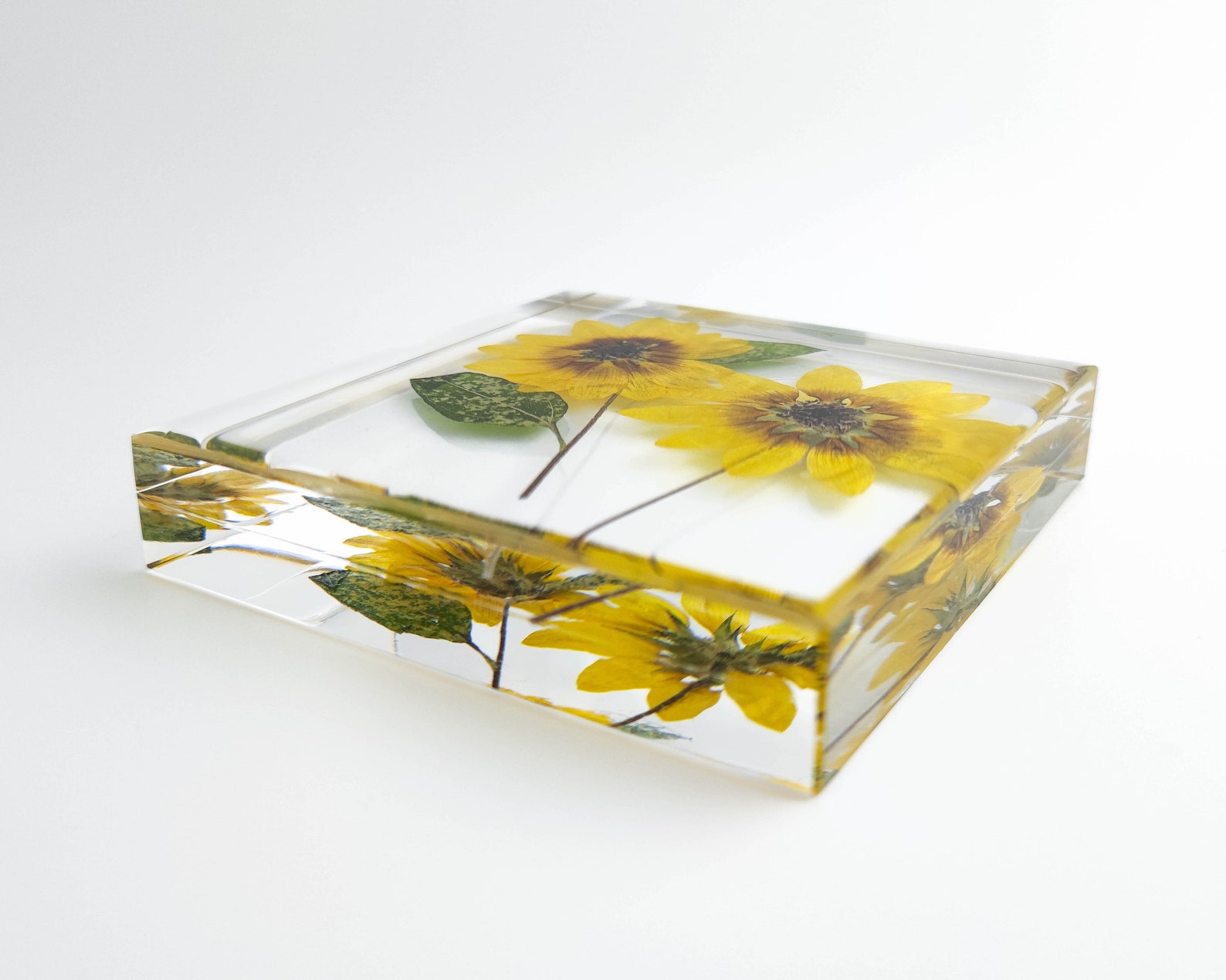 Real Sunflower Block Resin Paperweight Sunflower Night - Etsy