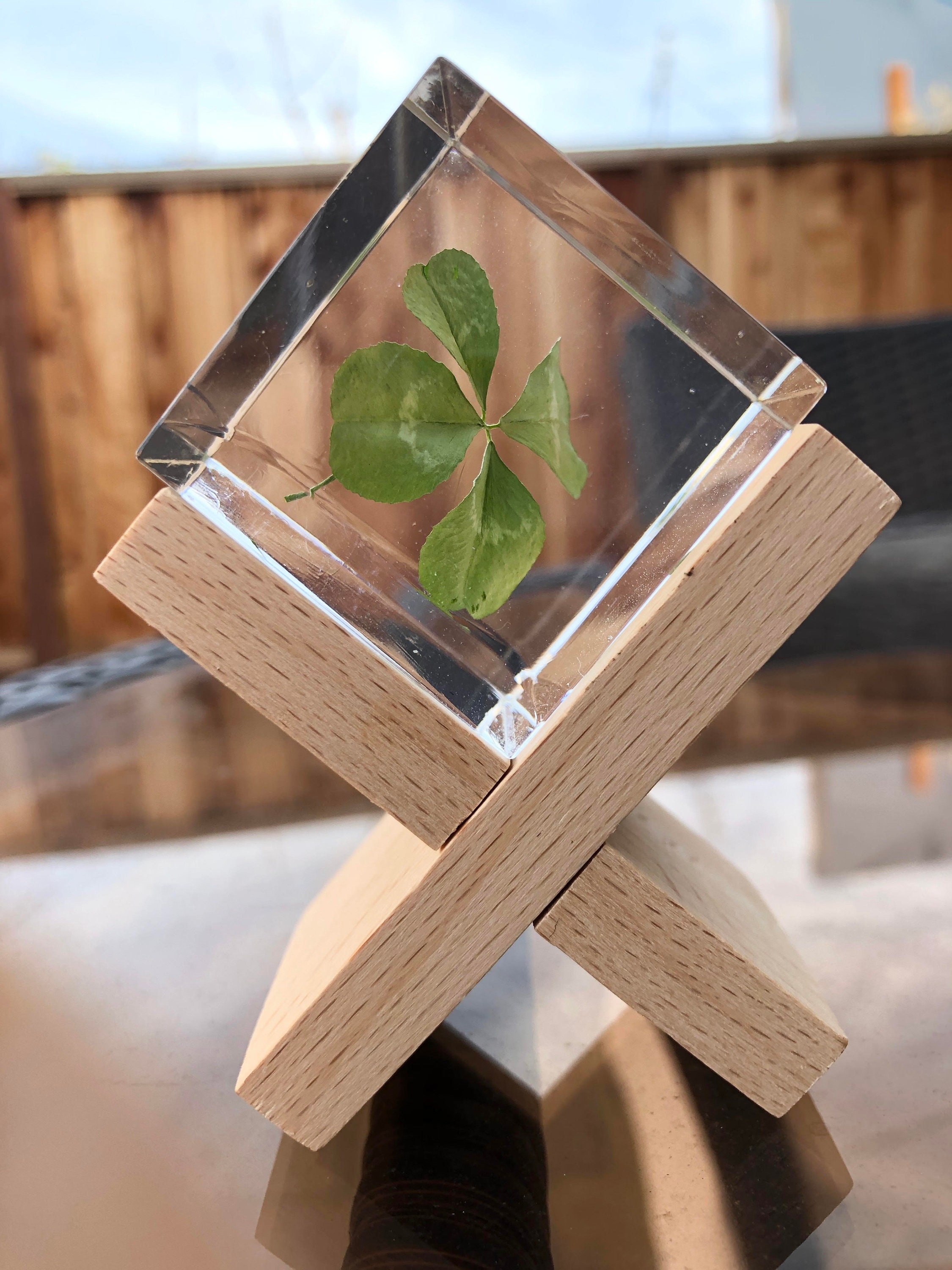 Real Four Leaf Clover Cube Lucky Clover Objet Gift for Luck | Etsy