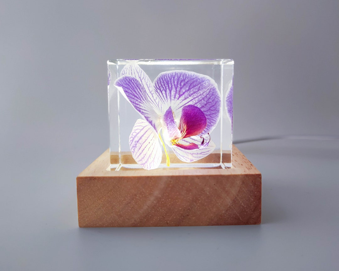 Real Orchid Cube With Purple Lines, Resin Paperweight, Flower Lamp ...