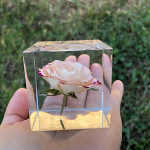 Real Rose Cube, Forever Rose Crystals Keepsake, Resin Paperweight, Gift ...