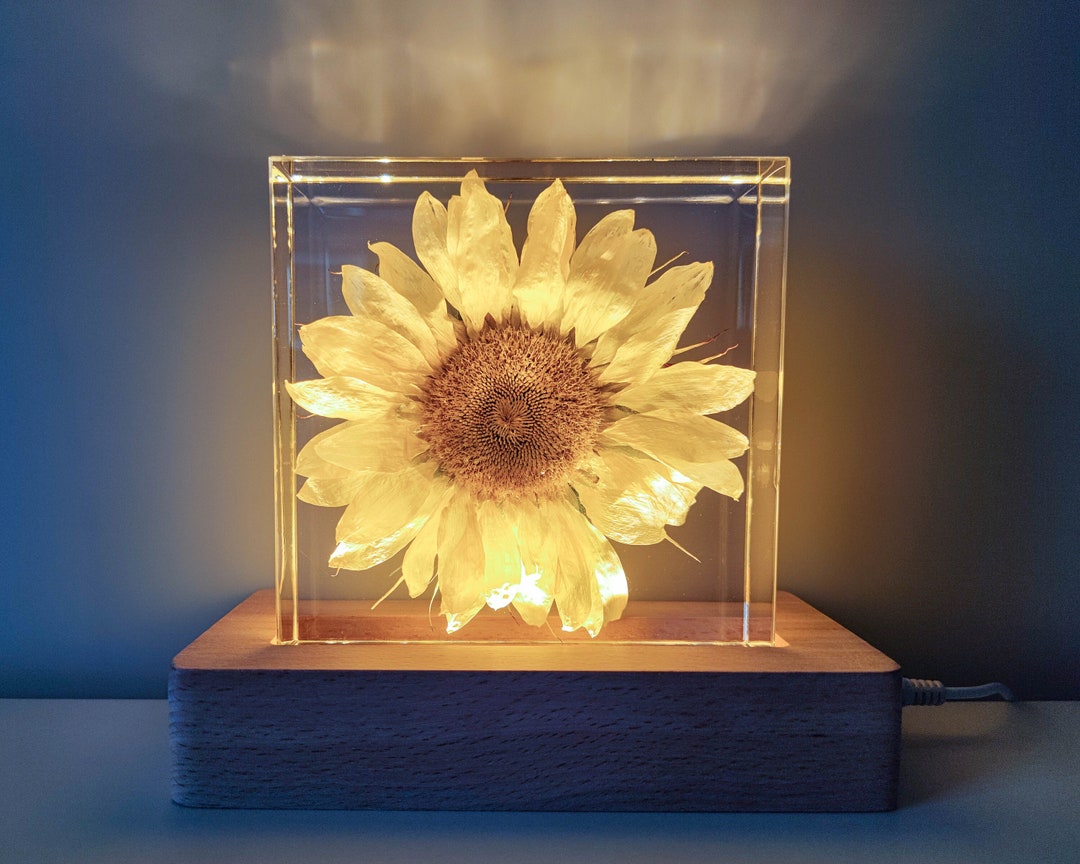 Real White Lite Sunflower Resin Block, Resin Handicraft Night Light ...