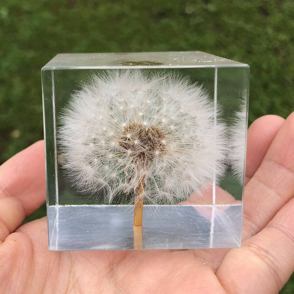 Dandelion Resin - Etsy