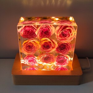 Real 9 Pink Roses Night Light, Real Rose Lamp, Real Rose Resin Block ...