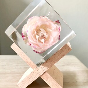 Real Rose Cube, Forever Rose Crystals Keepsake, Resin Paperweight, Gift ...