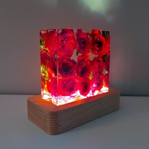Real 9 Red Roses Night Light, Real Rose Lamp, Real Rose Resin Block ...
