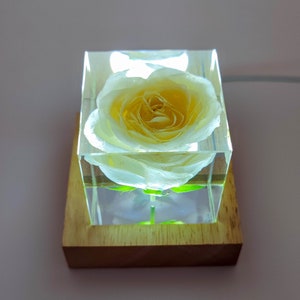 Real White Rose Cube, Forever Rose Crystals Keepsake, Resin Paperweight ...
