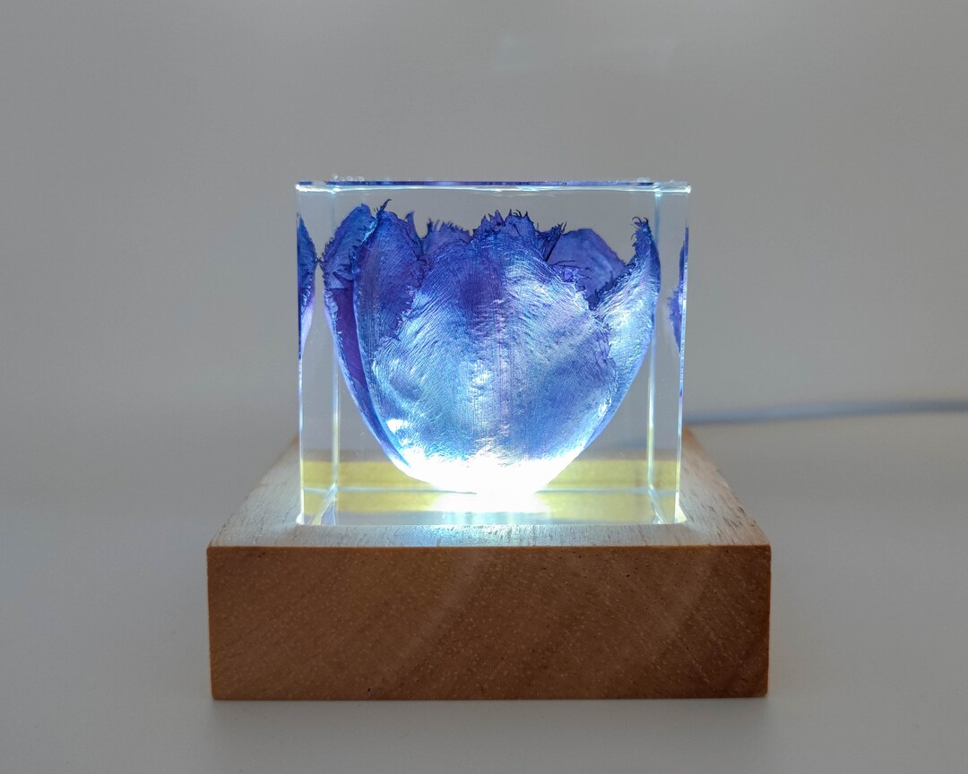 Real Purple Fringed Tulip Cube, Fancy Frills Tulip, Resin Paperweight ...