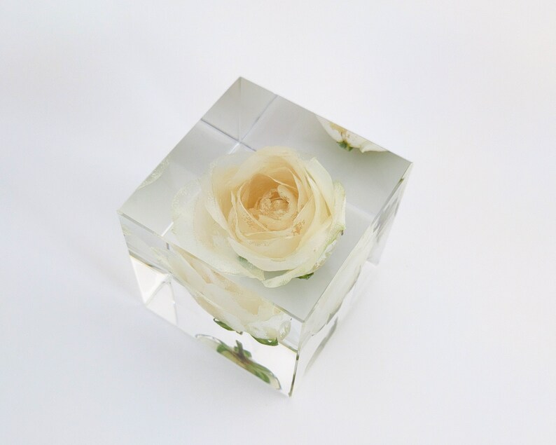 Real White Rose Cube Forever Rose Crystals Keepsake Resin - Etsy