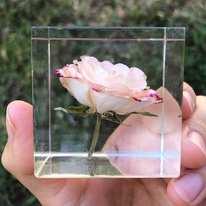 Real Rose Cube, Forever Rose Crystals Keepsake, Resin Paperweight, Gift ...
