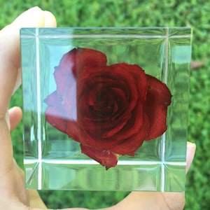 Real Red Rose Cube, Forever Rose Crystals Keepsake, Resin Paperweight ...
