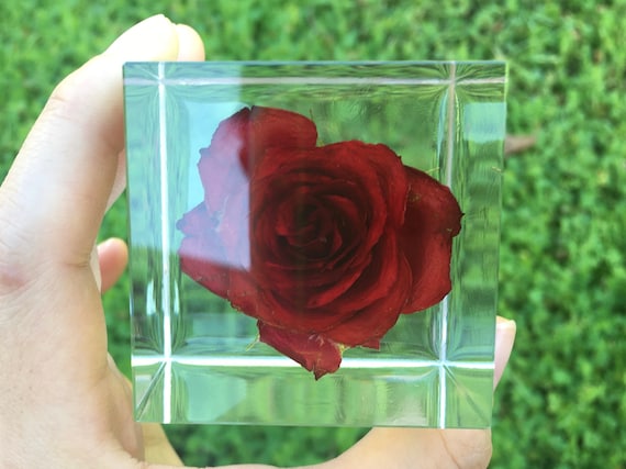 Real Red Rose Cube Forever Rose Crystals Keepsake Resin - Etsy