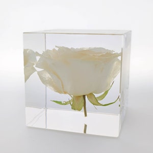 Real White Rose Cube, Forever Rose Crystals Keepsake, Resin Paperweight ...