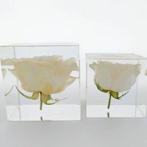 Real White Rose Cube, Forever Rose Crystals Keepsake, Resin Paperweight ...