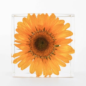Real Sunflower Resin Block, Sunflower Night Light, Sunflower Ornament ...