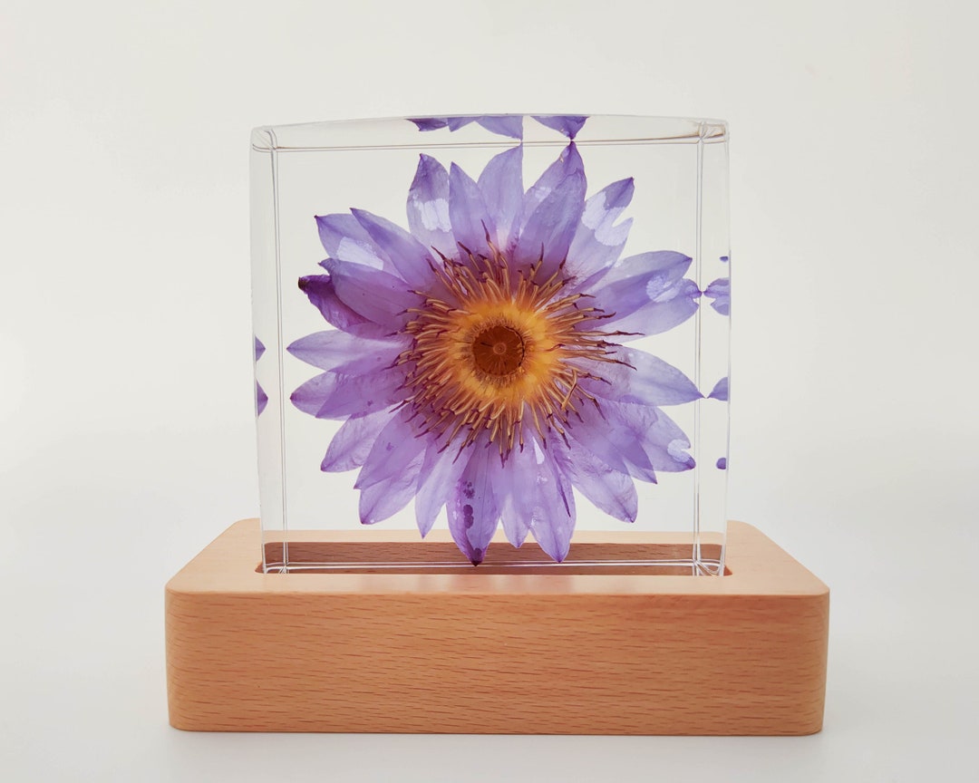 Real Purple Water Lily Block, Resin Paperweight, Natural Gift, Gift for ...