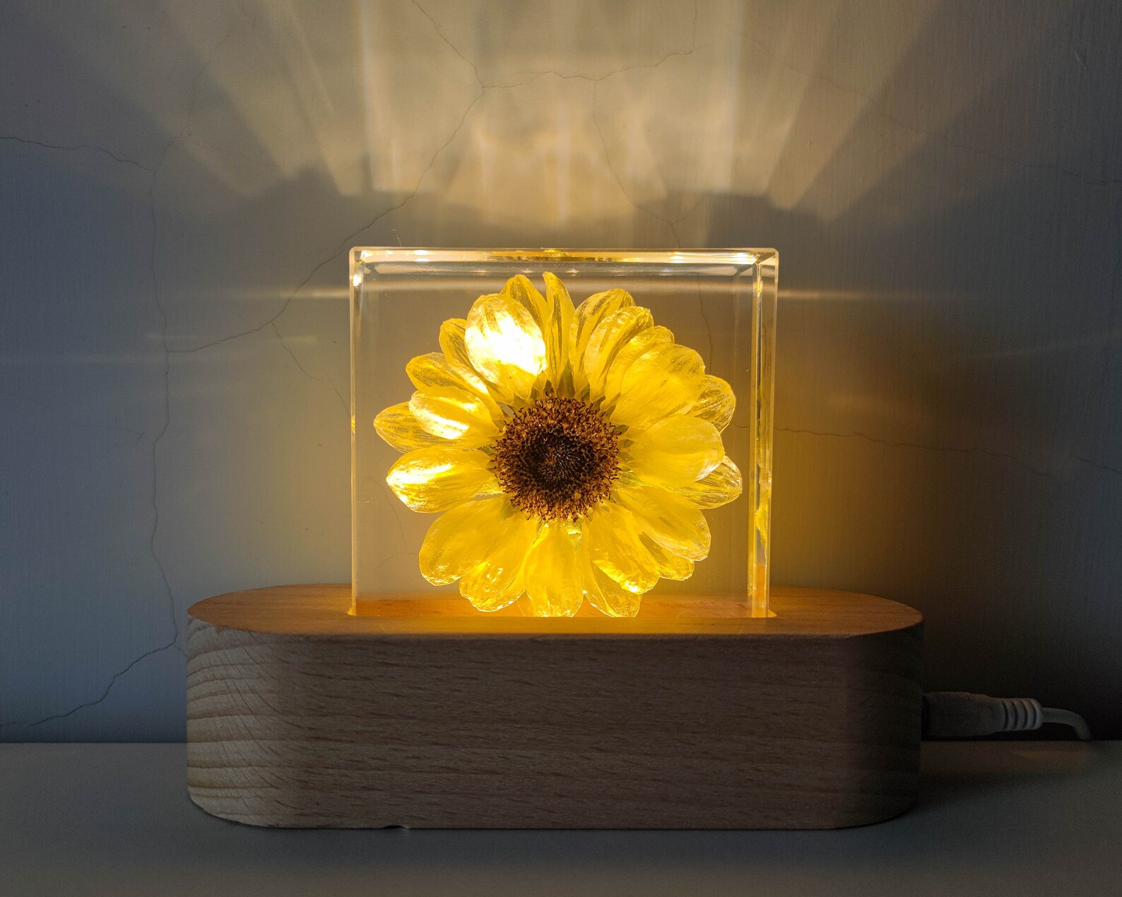Real Lemon Sunflower Resin Block Sunflower Night Light - Etsy