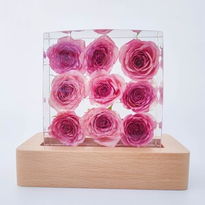 Real 9 Pink Roses Night Light, Real Rose Lamp, Real Rose Resin Block ...