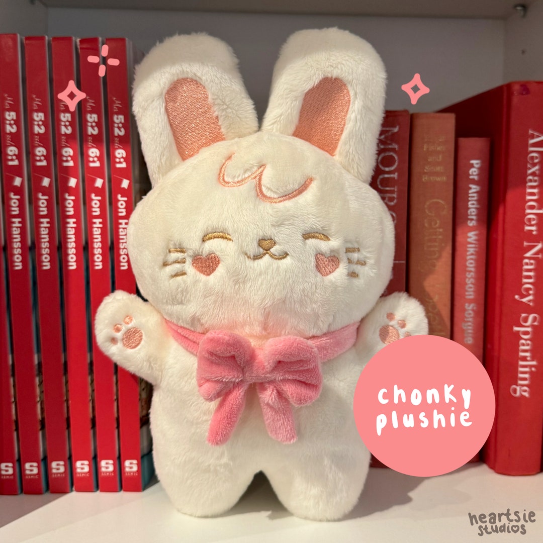 Mochi Chonky Bunny Plush | Kawaii Bunny, Cute Plush, Bunny Plushie ...
