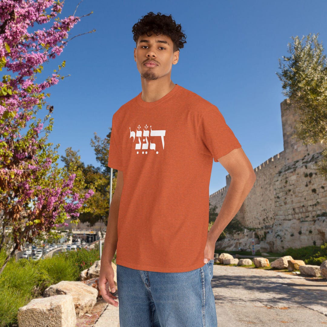 Jewish Tee Hebrew Hineni Here I Am Shirt Jewish Religious Tee Hebrew ...