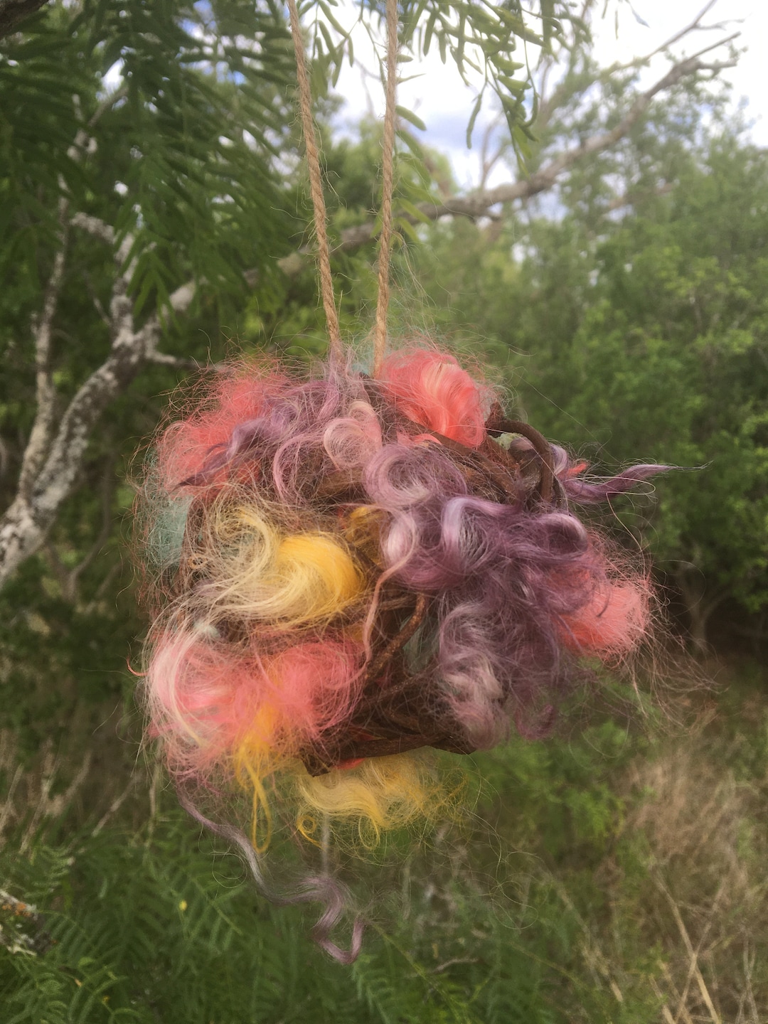 DIY Alpaca Fleece Nesting Ball Kit: Bird Nesting Material, Yard Art - Etsy